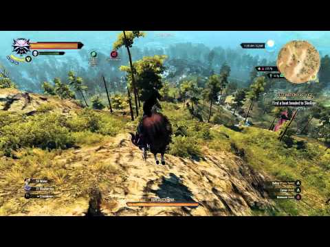 Witcher 3 - Teaching Roach New Tricks