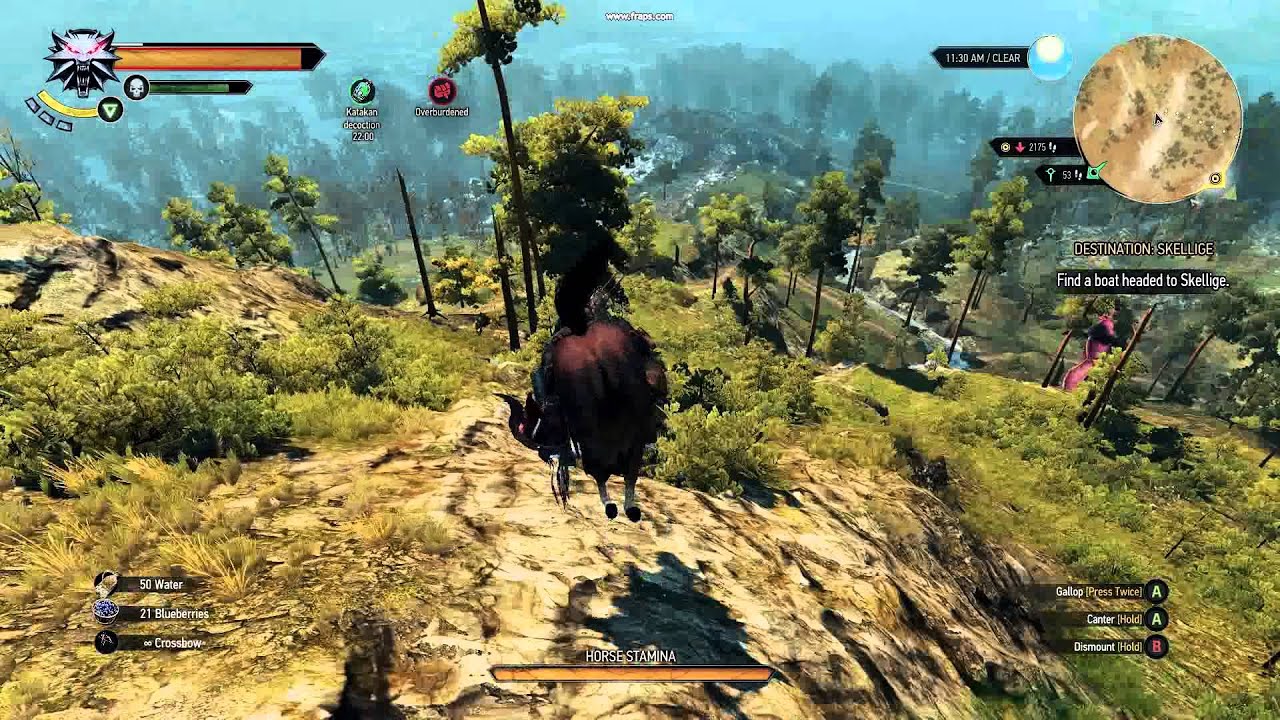 Witcher 3 - Teaching Roach New Tricks - YouTube
