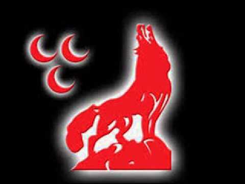ali kınık -hapiste yatarım