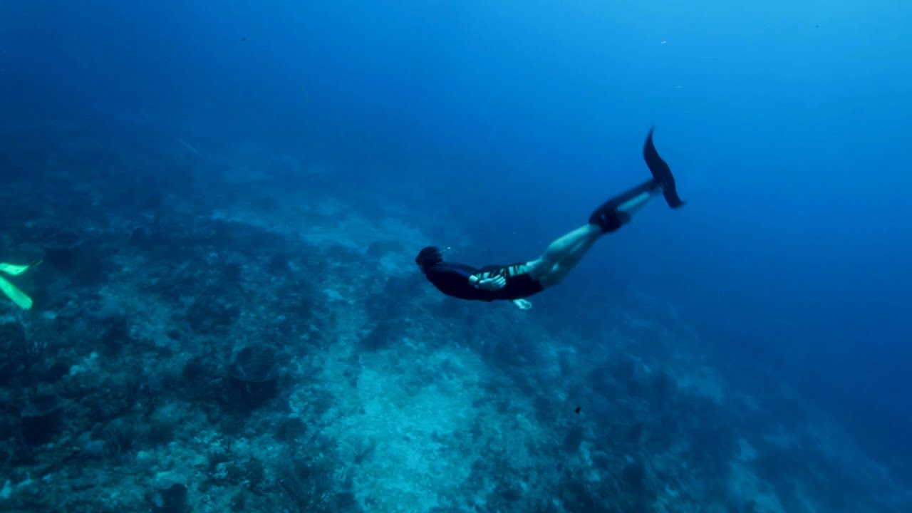 Bare feet... Splitfins... Jetfins... Freediving fins... Dol-fins ...