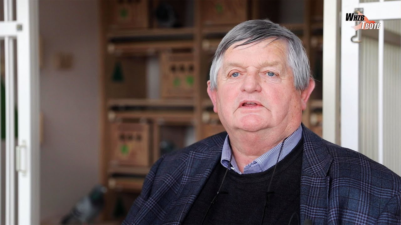 Archive Videos - GPS-Auctions