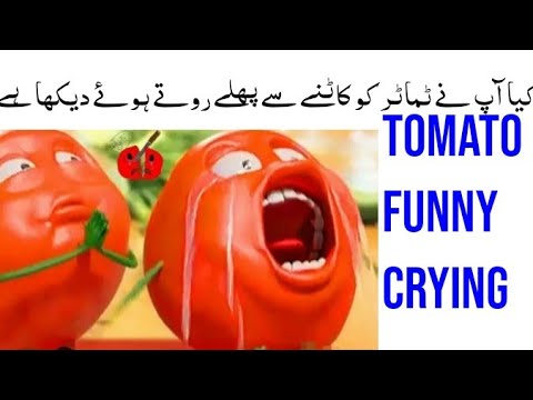 Tomato funny | cartoon | Urdu hindi Dubbing | crying | sell251 | top funniest videos |