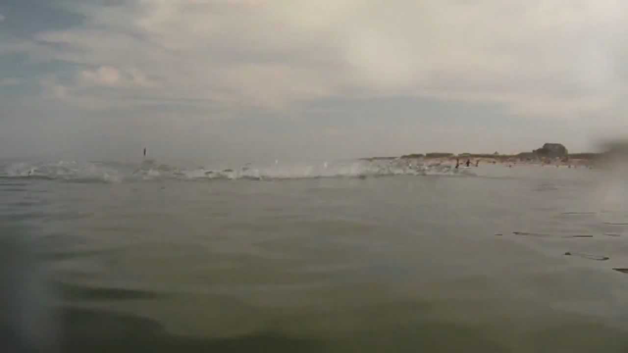 School of jumping fish caught on camera. - YouTube