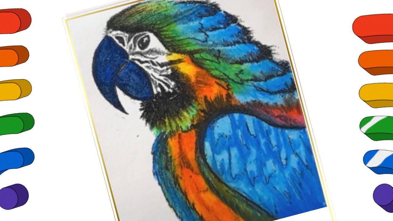 Parrot drawing with oil pastels |How to draw parrot with oil pastels ...