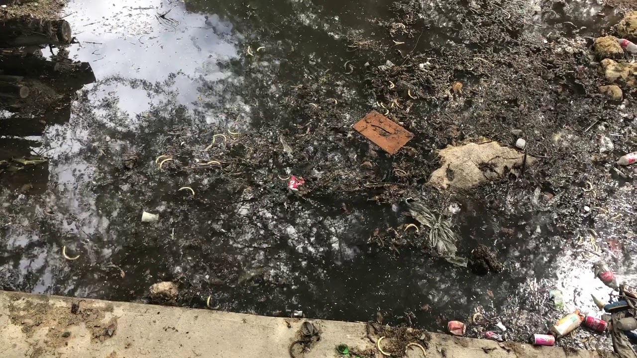 Caribbean Sea High Polluted Beach Outfall - (Raw Sewage Included in ...