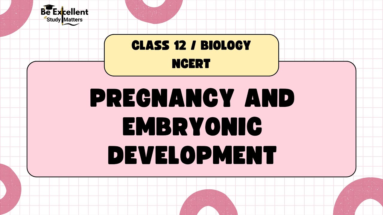Pregnancy and Embryonic Development / Human Reproduction / Class 12 ...