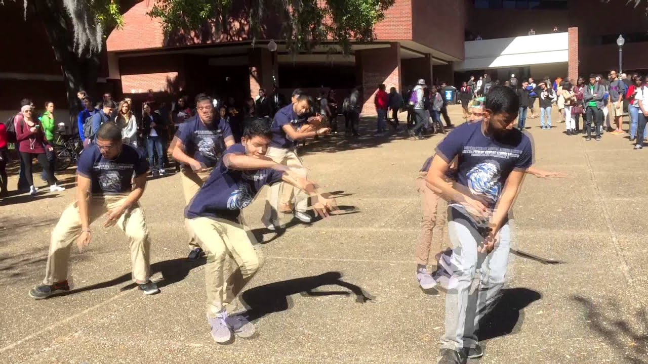 Delta Epsilon Psi - Rho Chapter - Founder's Day Stroll 2015 - YouTube