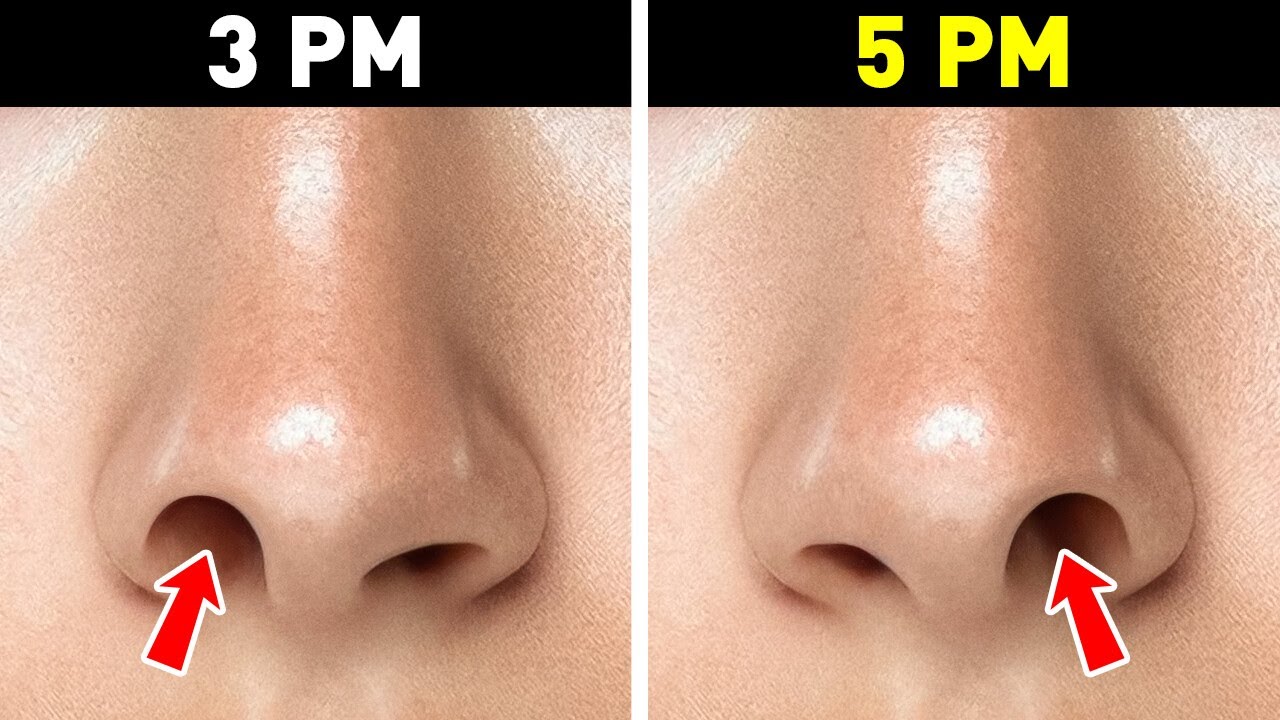 Astonishing Feats Your Body Is Capable Of | Human Anatomy | Science ...