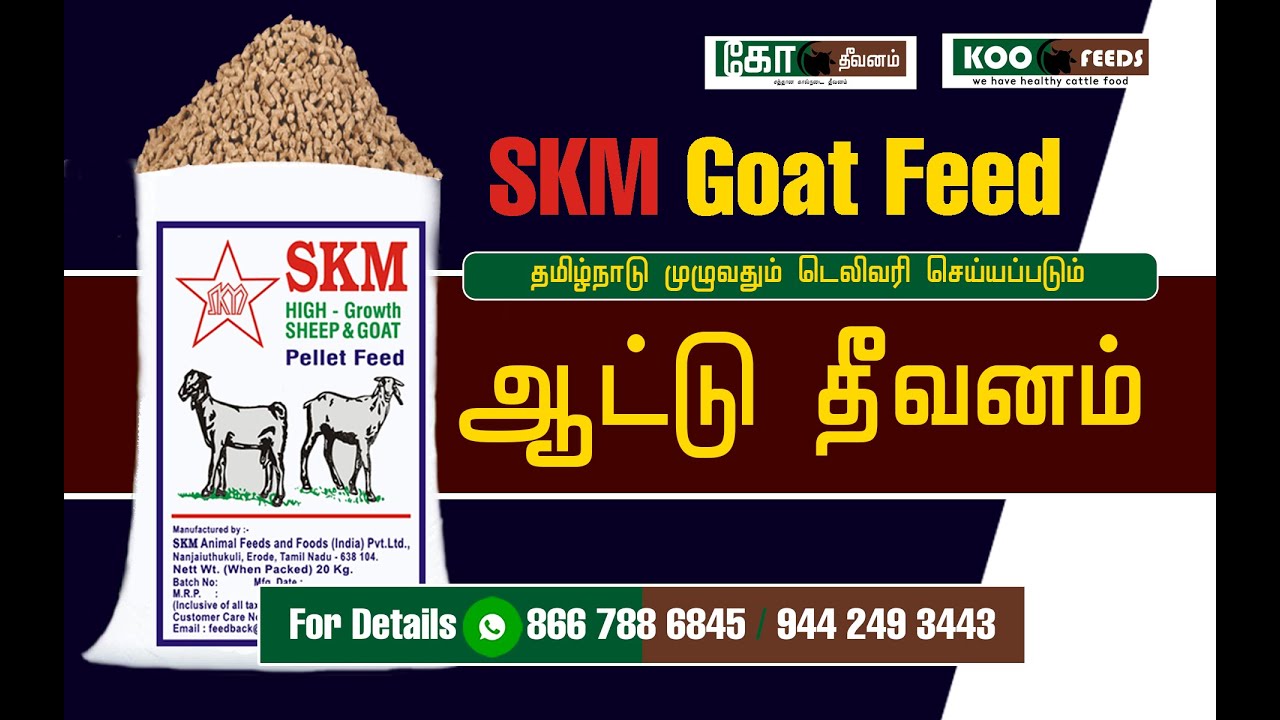 Goat Feed SKM SKM Goat Feed goat-feed-skm-skm-goat-feed