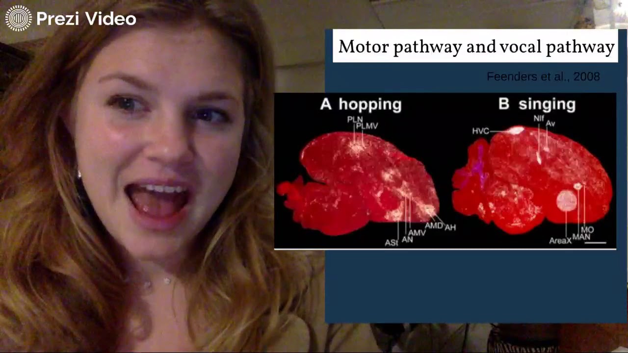 Vocal learning evolved independently in different bird species under ...