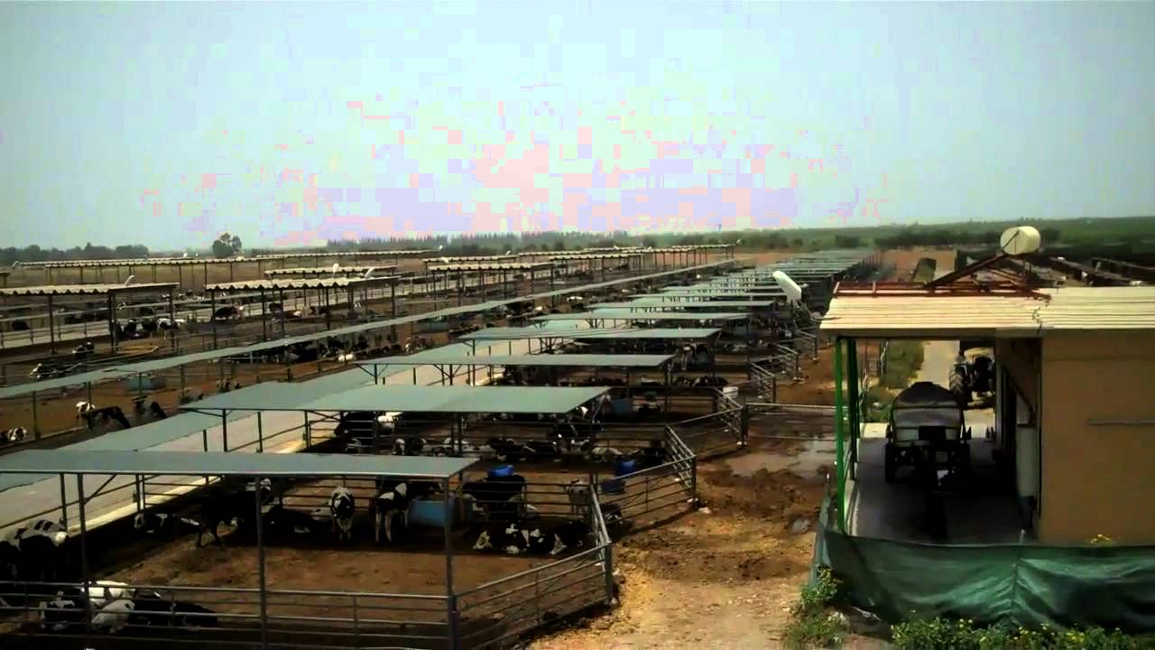 USGC, USCP Sorghum Export Mission to Morocco - COPAG - YouTube