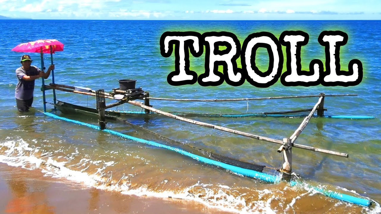 How to CATCH Milkfish (BANGUS) Fingerlings | Camaya-an, Malabugas ...