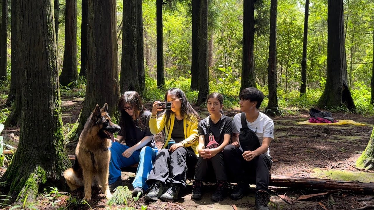 First Mini Trek in Shillong, Meghalaya - Malki Forest - YouTube