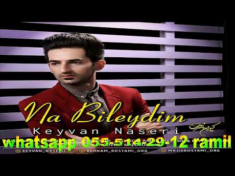 Keyvan Naseri   Nabileydim  2018