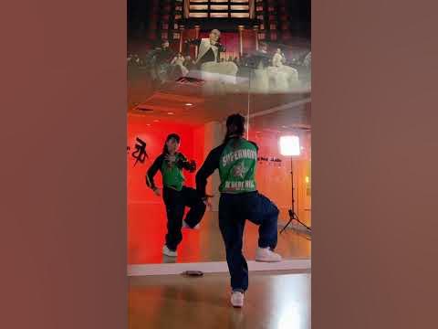 Seventeen - Super 손오공 mirrored dance tutorial by Secciya (FDS) Vancouver - YouTube