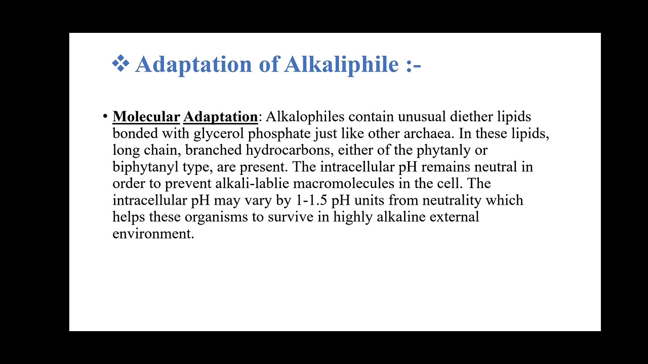 L-3 Alkaliphiles - YouTube
