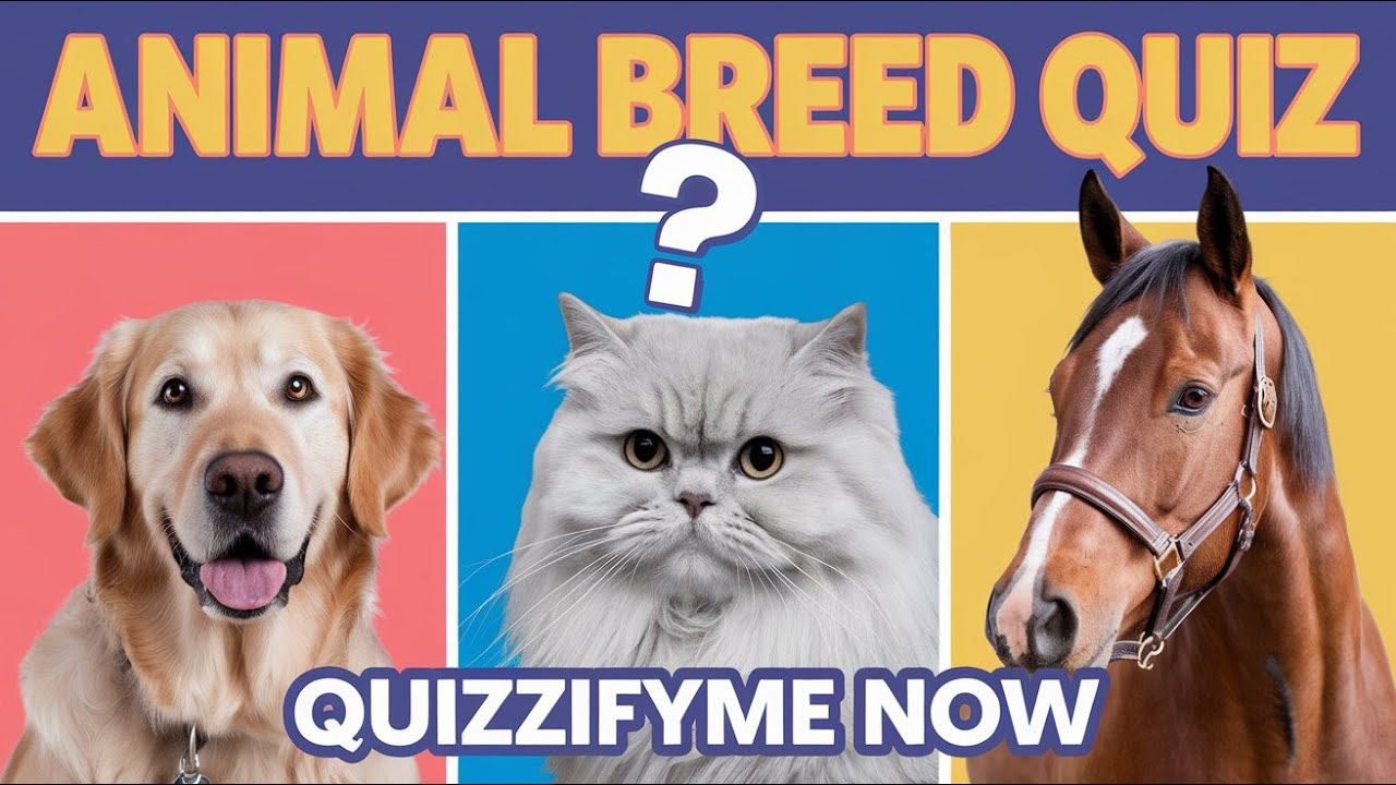 Animal Planet Breed Finder: Take the Ultimate Animal Breed Quiz to ...