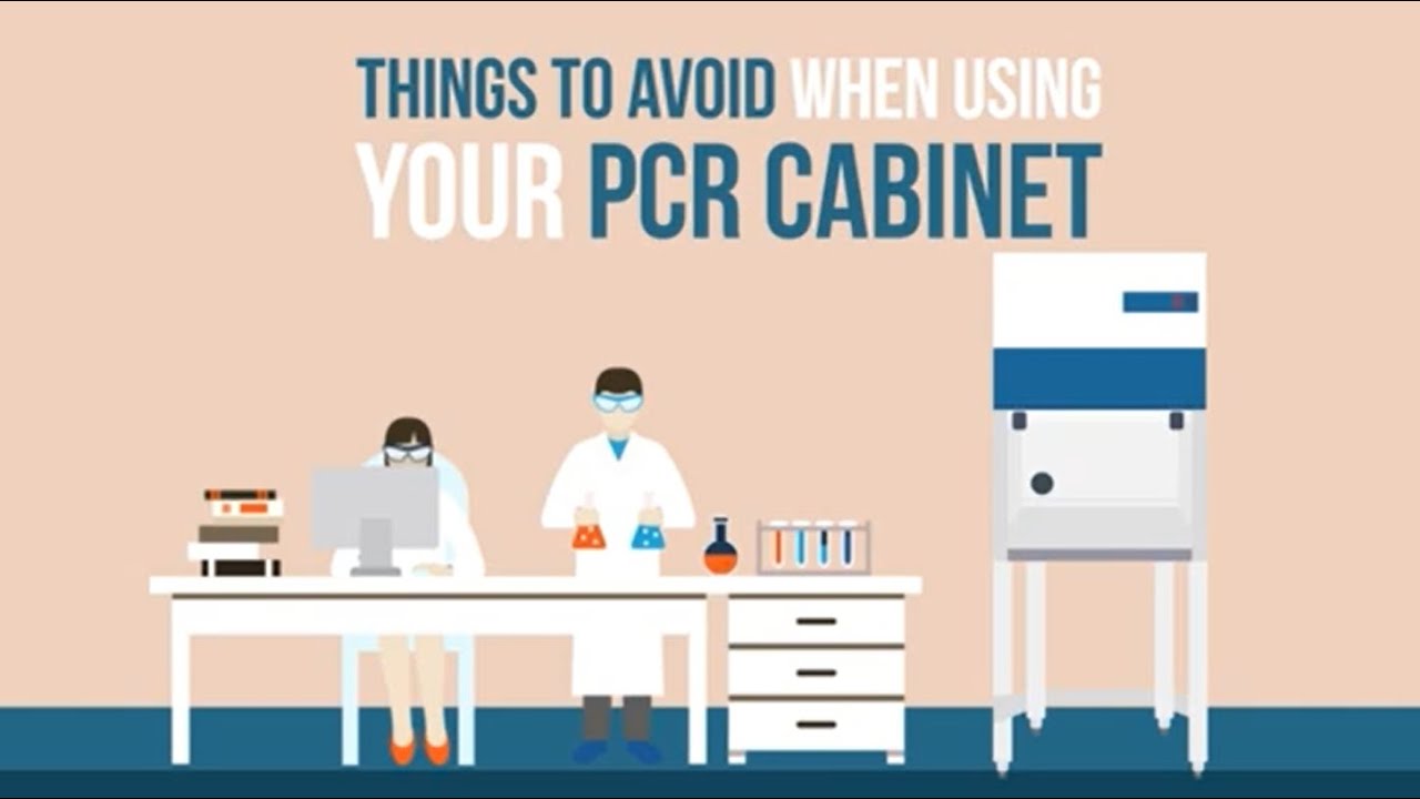 Things To Remember When Using Your Polymerase Chain Reaction (PCR ...