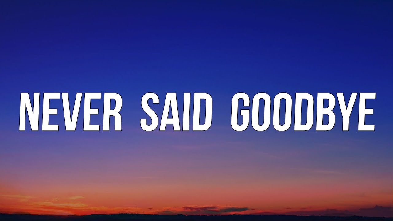 Jake Bugg - Never Said Goodbye (Lyrics) - YouTube