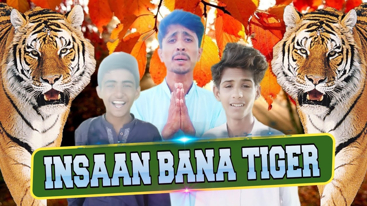 Insaan Bana Tiger 🐅 || Dora Shora New Funny 😜 Video || Awan Funny ...