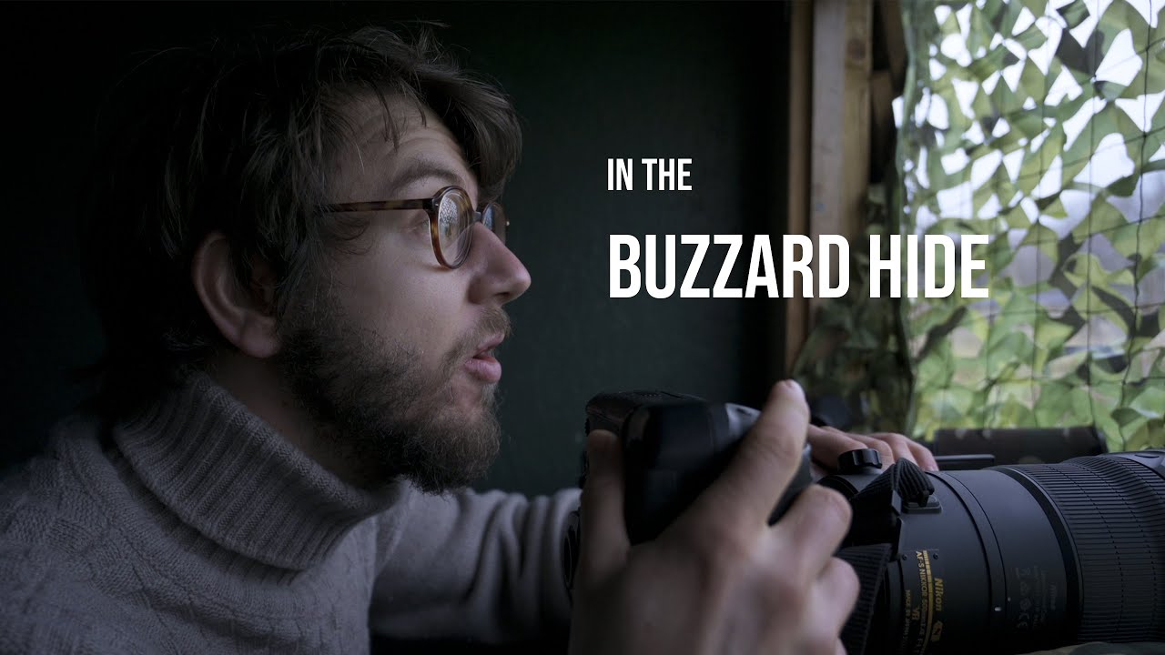BIRD PHOTOGRAPHY, In the Buzzard hide with the Nikon D850 | Wildlife ...