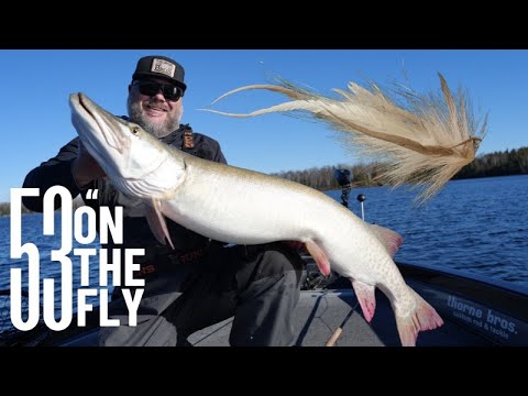 Thorne Bros. | 53" Lake Vermilion Musky While Fly Fishing - YouTube