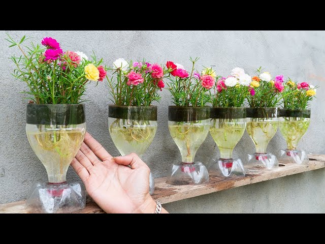 Recycled Plastic Bottle Vase Stock Foto „Recycled Colored Flower