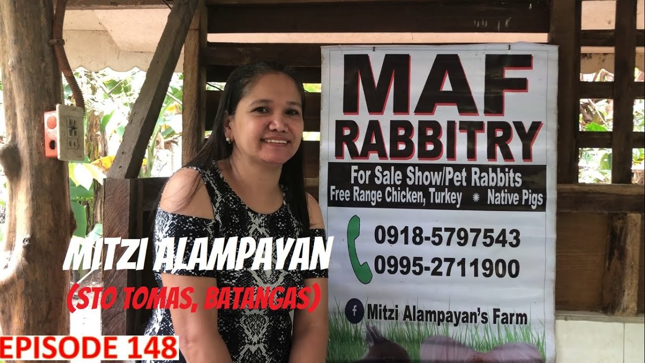RABBIT FARMING - MITZI ALAMPAYAN - YouTube