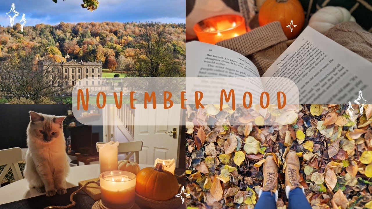 How to enjoy November 🍂 Gentle Living in Autumn , Fall Cooking, Cozy ...