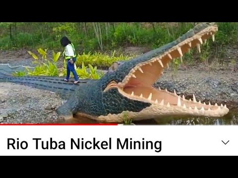 Rio Tuba Nickel Mining Practices - YouTube