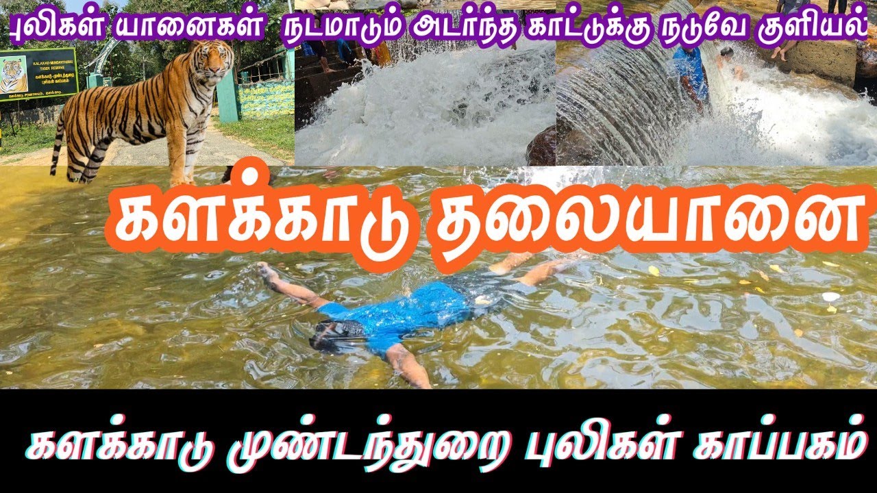 Kalakad Mundanthurai Tiger reserve Thalaiyanai Falls|களக்காடு ...