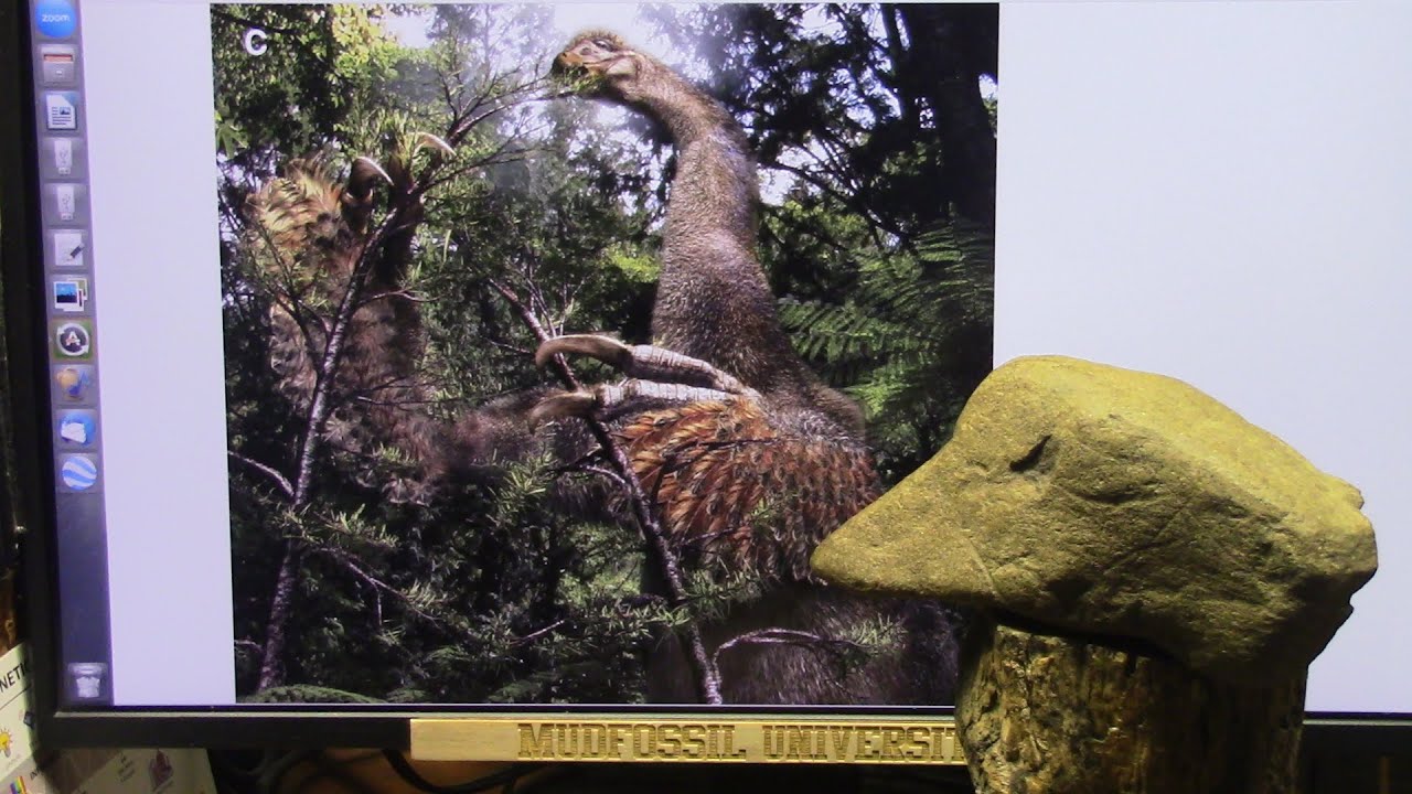 Giant Claw From a Unknown Monsterous Bird Discovered in Mongolia - YouTube