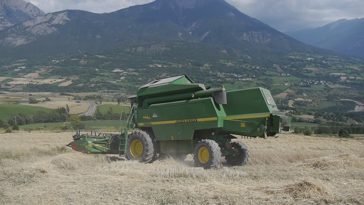 Moisson de l'extrême 9 , Moissonneuse en difficulté dans un devers ...