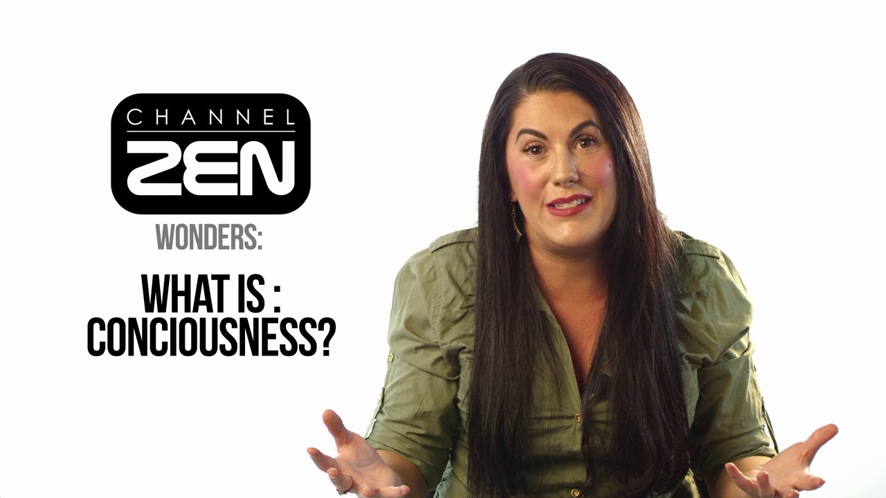 Channel Zen Asks: What is Consciousness - Anna Miranda - YouTube