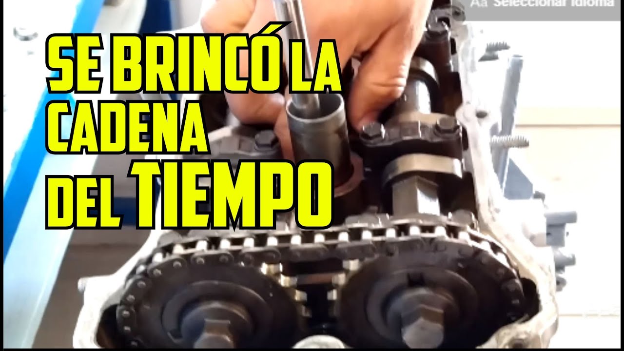 cómo revisar si la cadena de distribución está brincada | CURSOS DE ...