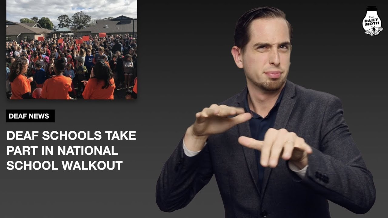 The Daily Moth 3-14-2018 - YouTube