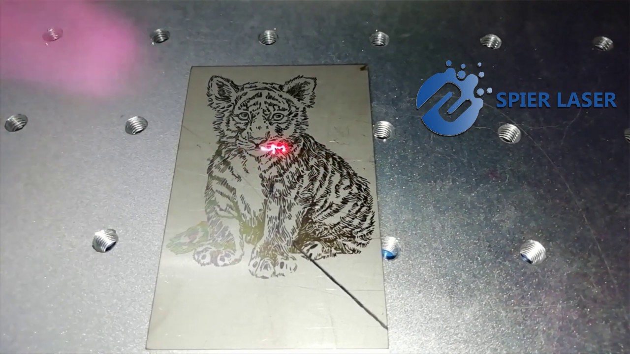 SPIER--Black tiger engraving 20W fiber laser marking | Metal laser ...