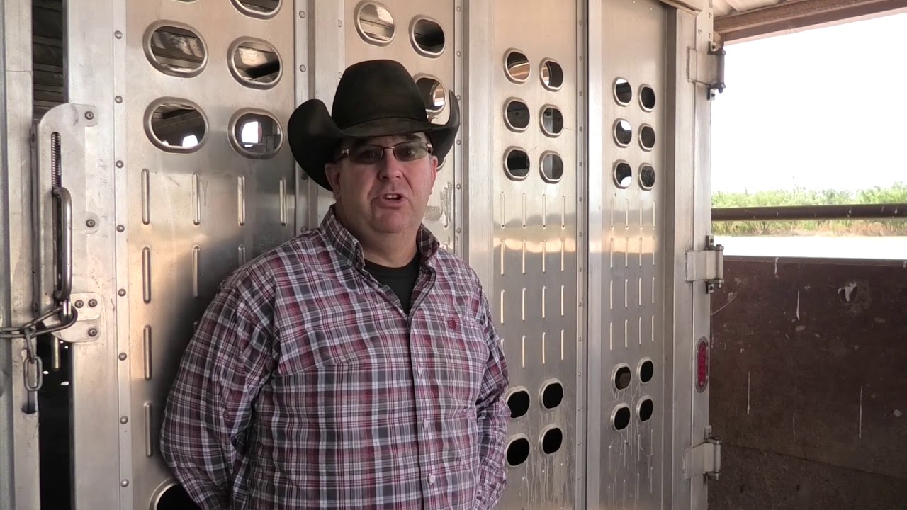 Interview John Polhemus - YouTube