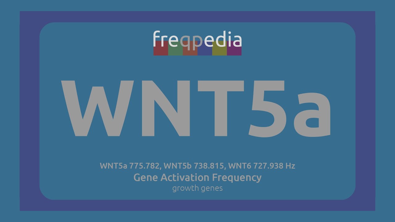 WNT5a (limbs formation) Gene Activation Frequency - YouTube