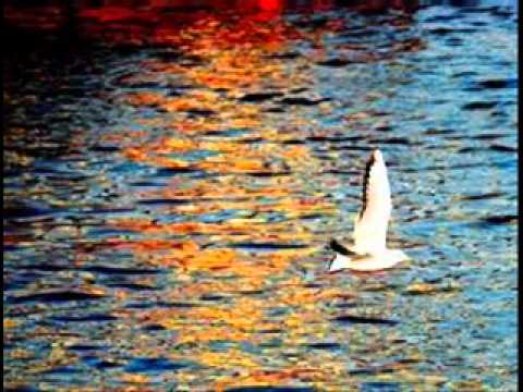 Gaye Aksu-Arada Bir