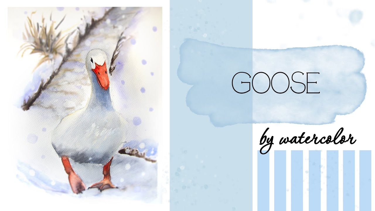 The goose!!!Step by step! Watercolor! - YouTube