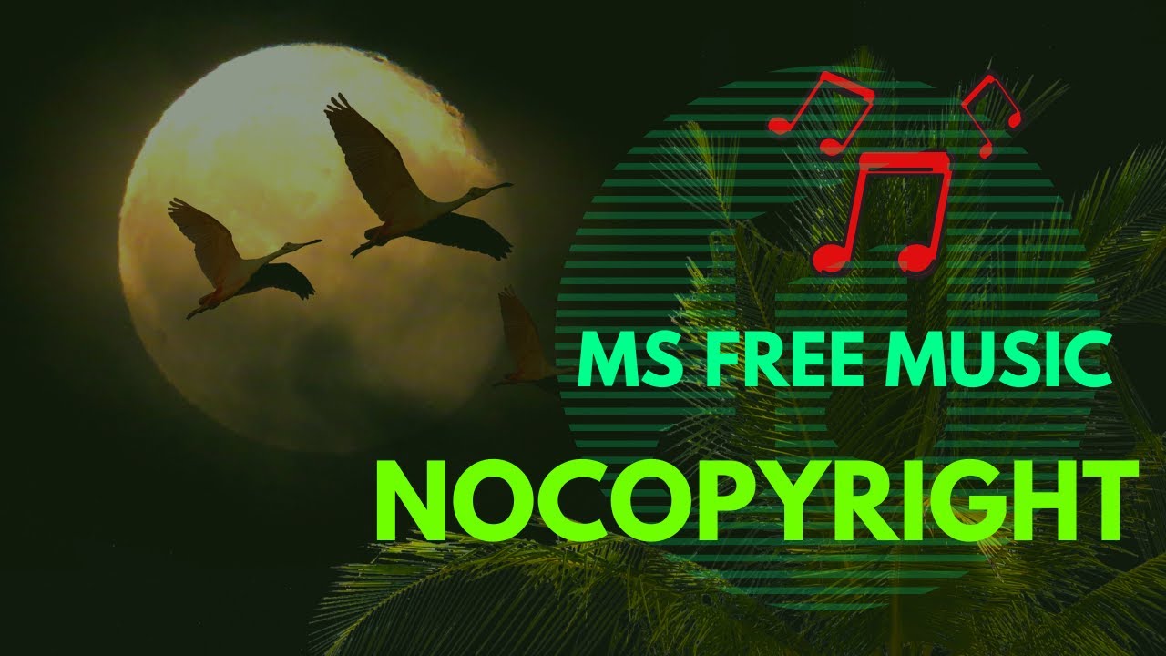 Song: WYKO & SIIK - 2AM (feat. shi’tz) [MS Free Music Release] Music ...