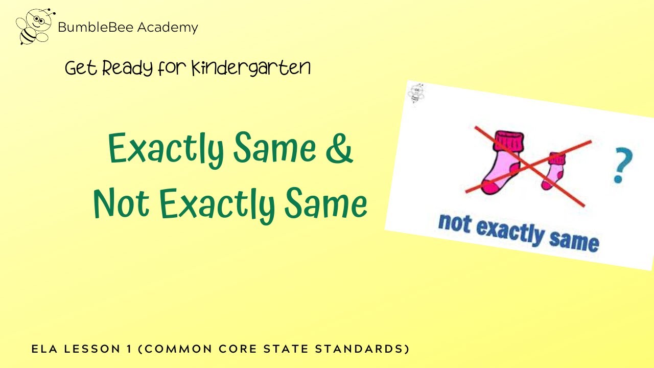 Exactly same & Not exactly same l Kindergarten Math l Great for ...