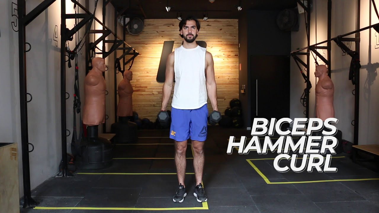 Curl Martillo con Mancuerna - Dumbbell Hammer Curl - YouTube