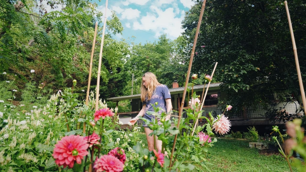 How she escaped city life to building her own homestead | A Homestead ...