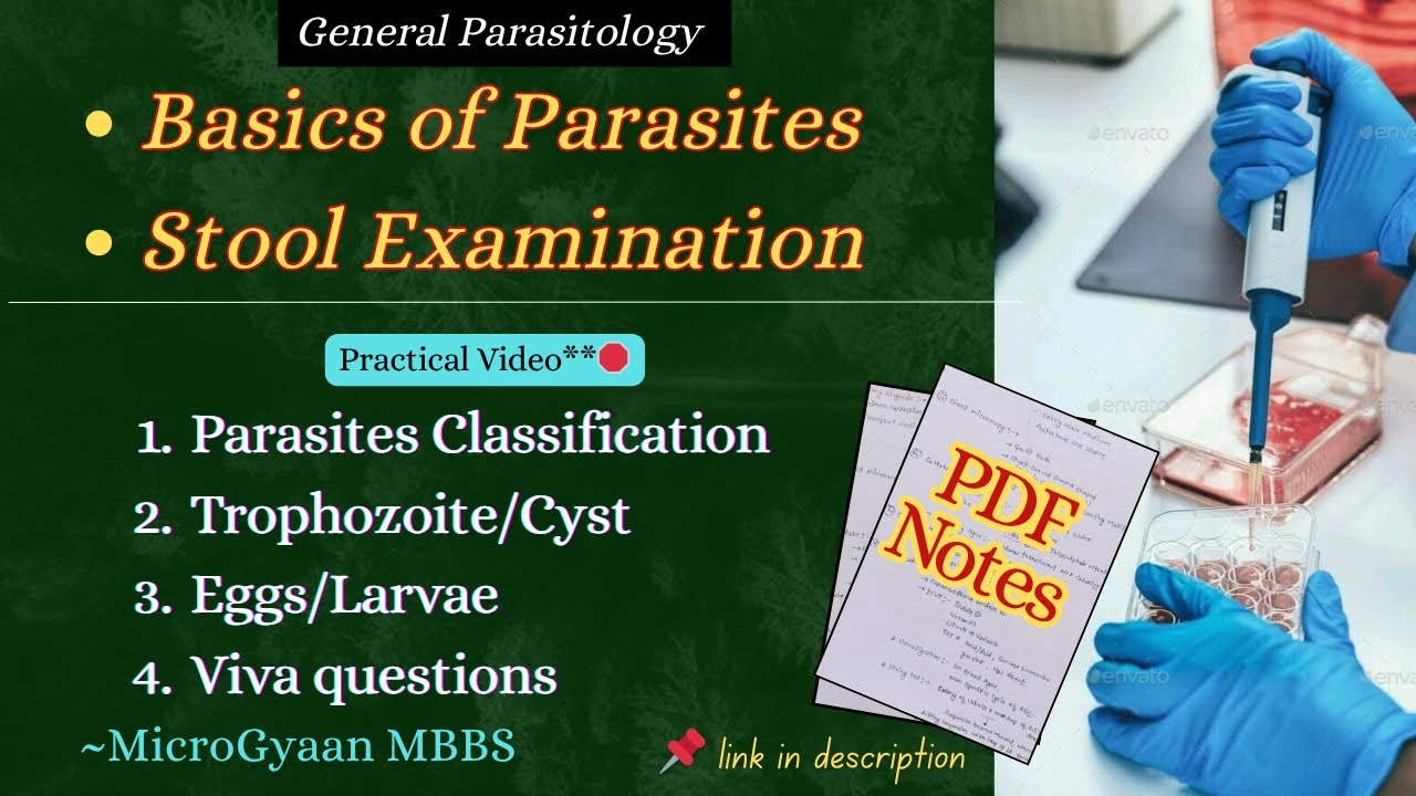 Stool Examination, Parasites Basics & Classification | General ...