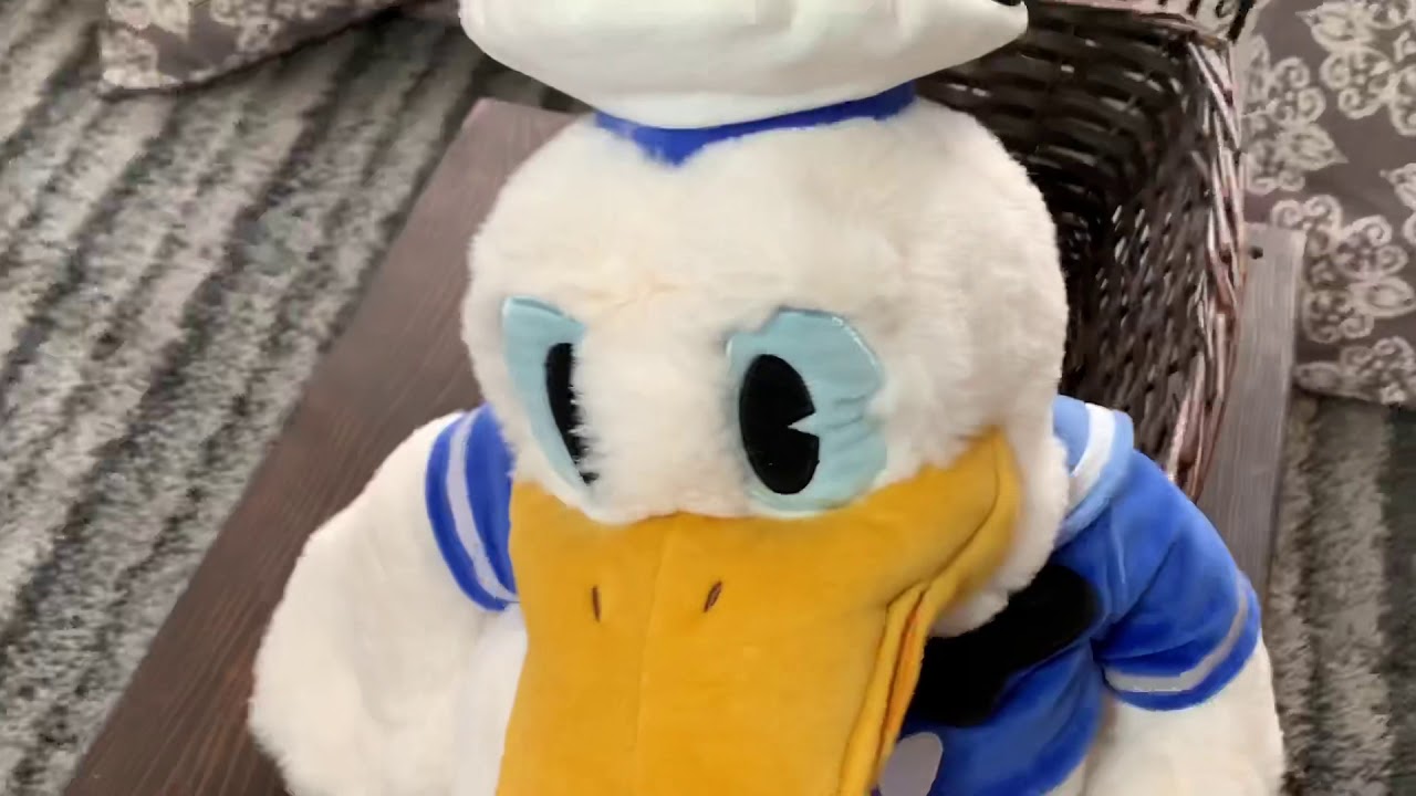 Save the turtles Donald! - YouTube