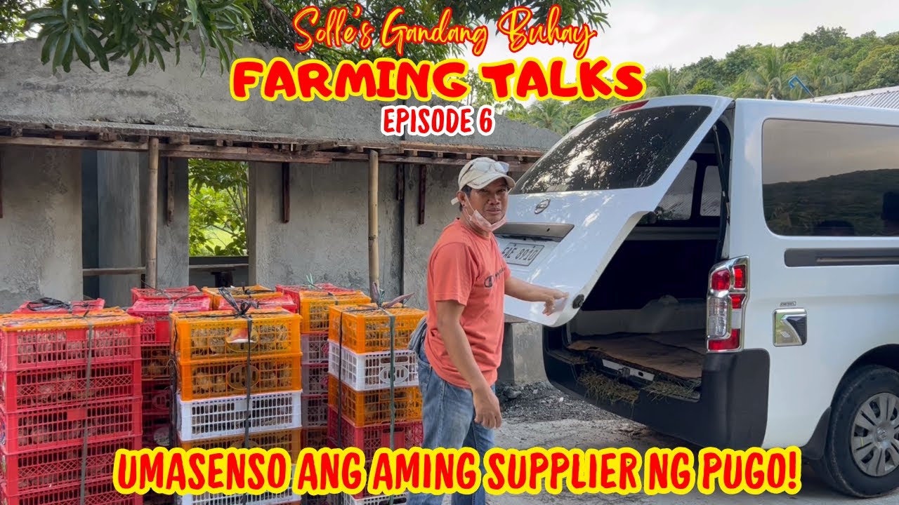 UMASENSO ANG AMING SUPPLIER NG PUGO! | FARMING TALKS EP 6 | SOLLE'S ...