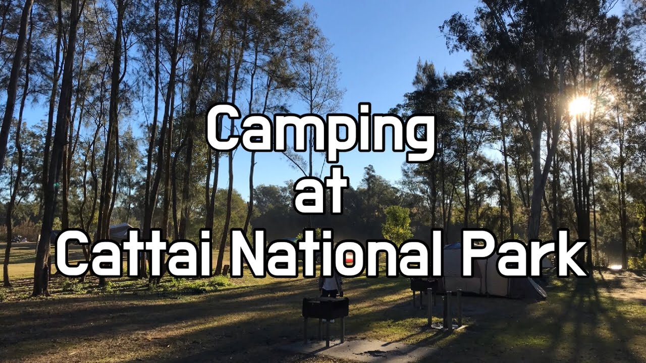 🇦🇺호주 시드니 근교 캠핑 Cattai National Park Campground - YouTube