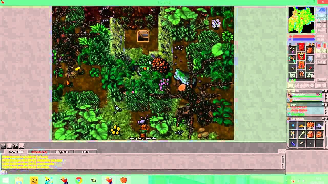 [TIBIA] onde encontra carrot on a stick. PT/BR - YouTube